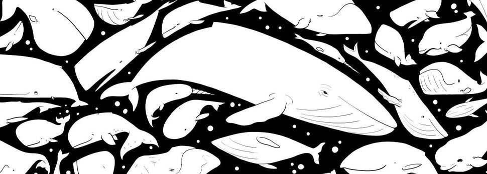 Alaska Robotics Gallery