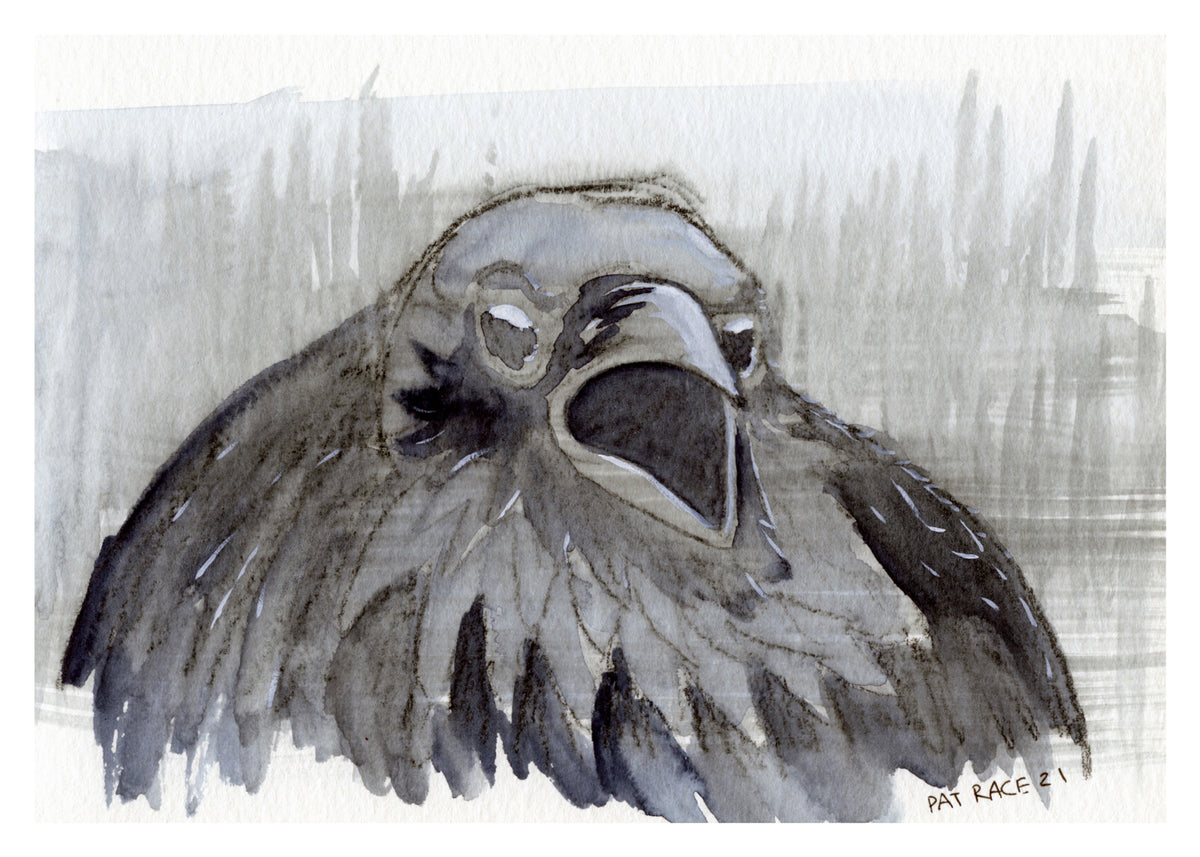Mr. Grumpy – Alaska Robotics Gallery